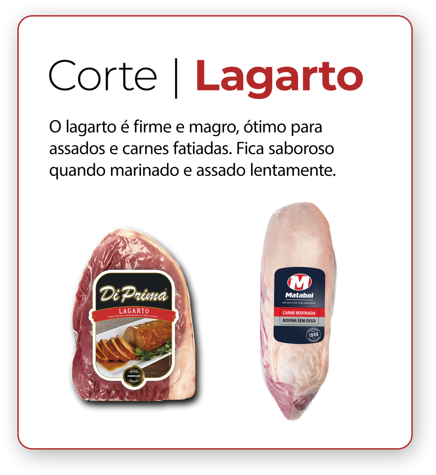 PRIMA FOODS S/A – Fornecimento de carnes com alto padrão de segurança ...