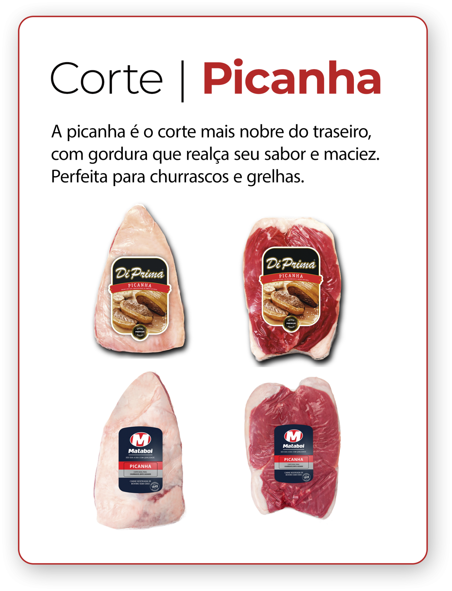 PRIMA FOODS S/A – Fornecimento de carnes com alto padrão de segurança ...
